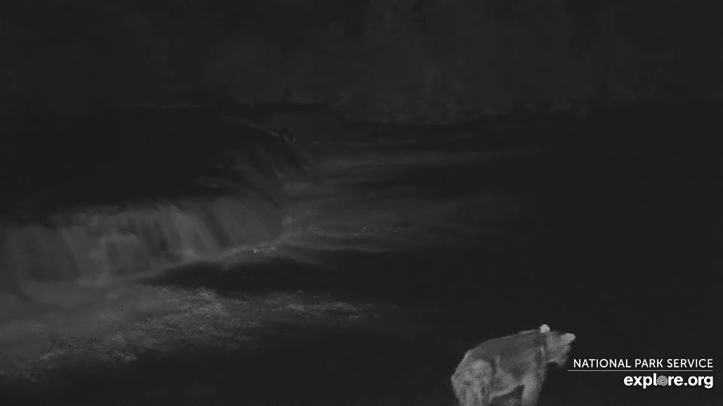 August 6, 2023 Otis Fishing Report UPDATE - Otis Fishing Report